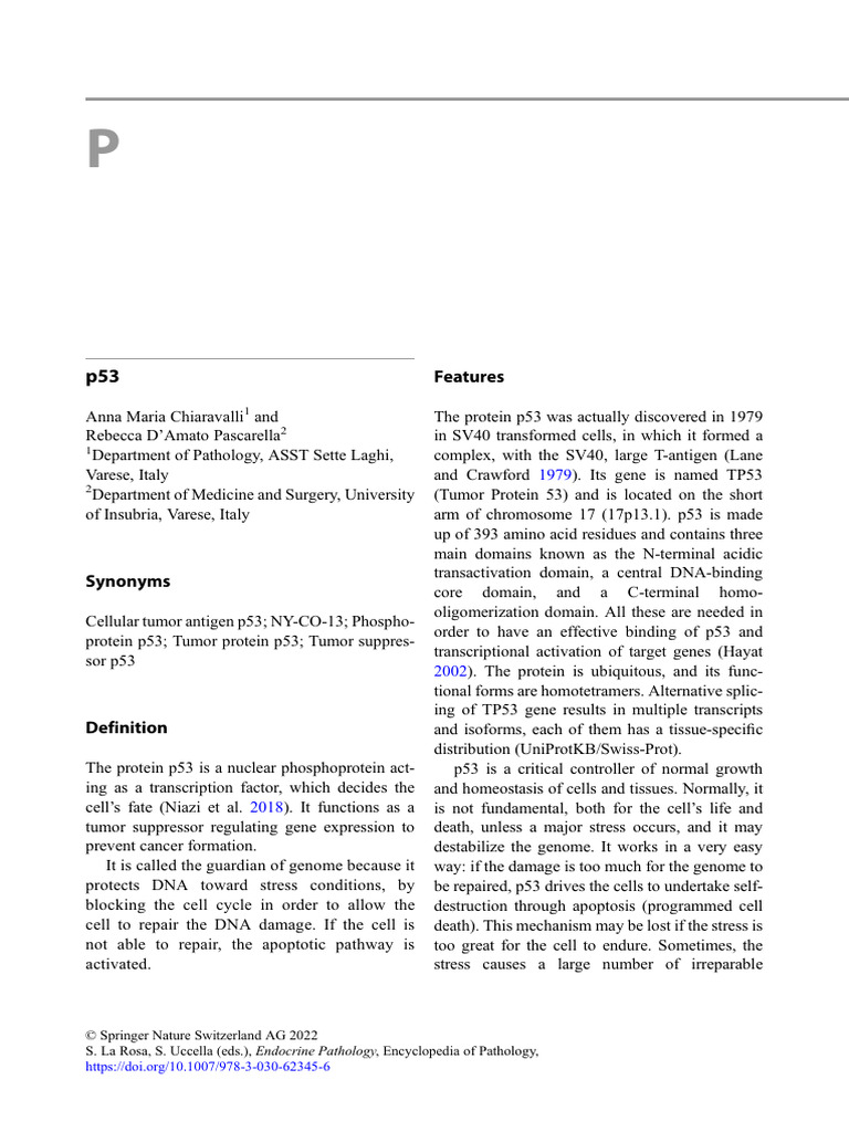 978-3-030-62345-6_5177 | PDF | P53 | Pancreas