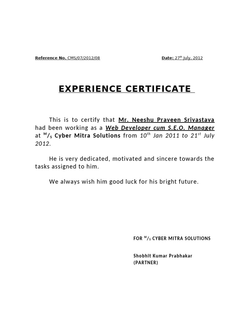 Web Developer SEO Manager Experience Certificate | PDF