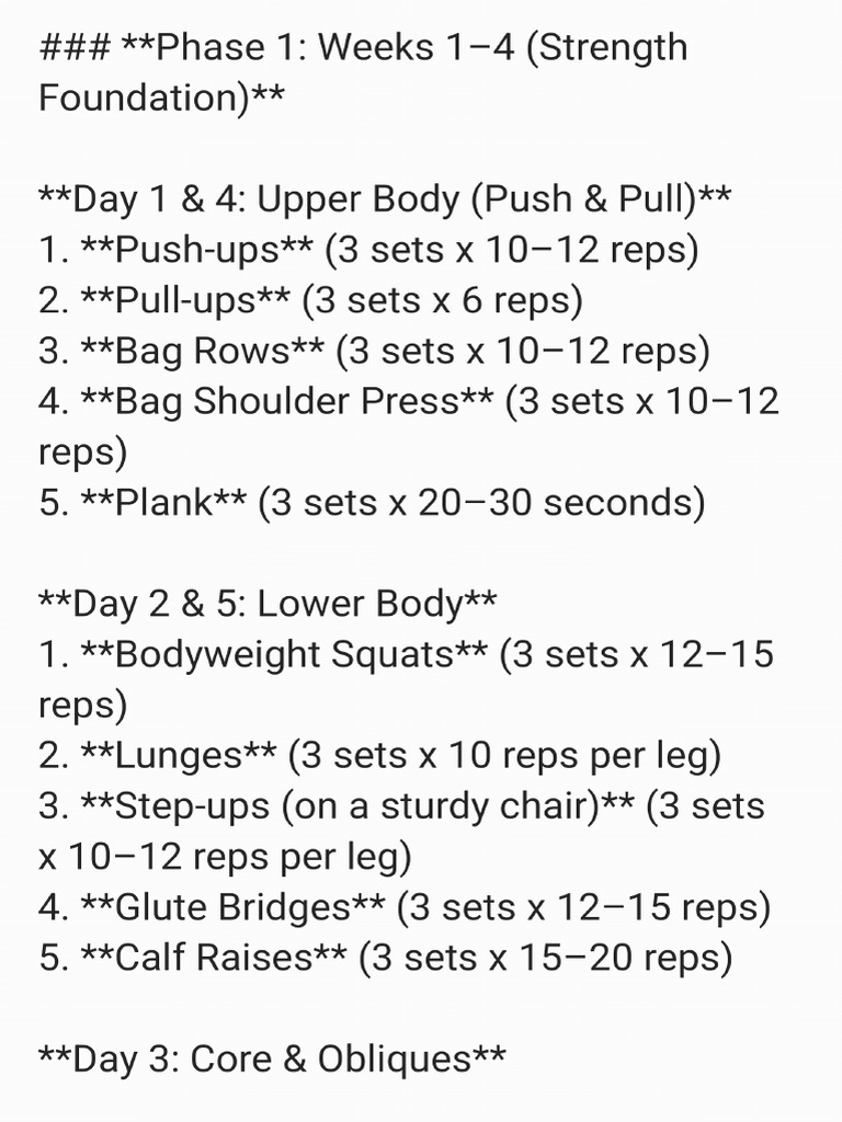 90 Days Workout Plan_240910_074140 | PDF