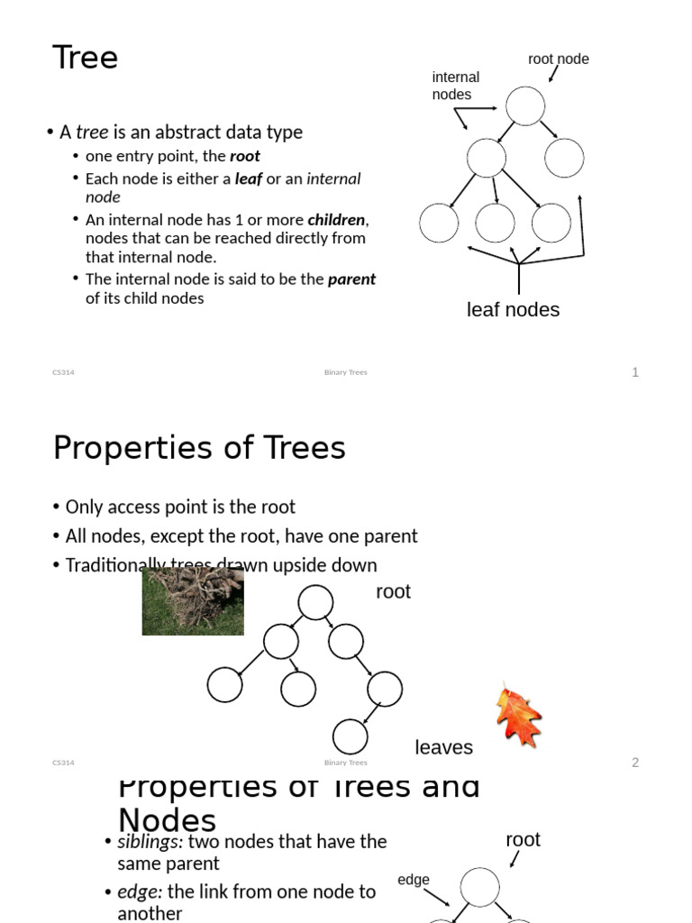 Binary Tree Ppt Till Bst Pdf Algorithms And Data Structures