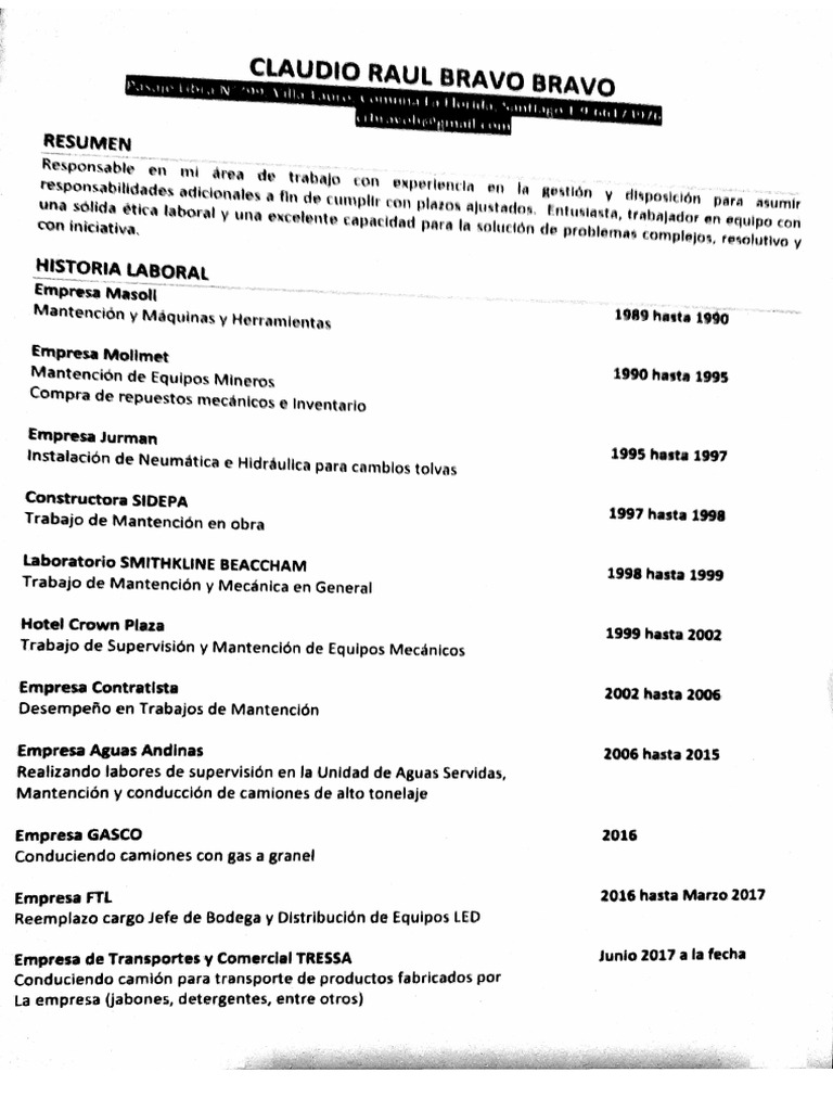 CV Claudio Bravo B. | PDF