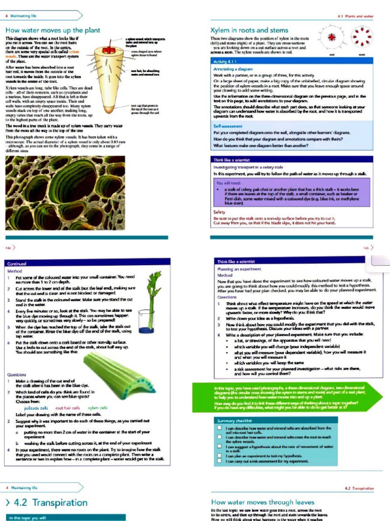 Textbook 4th Chapter | PDF