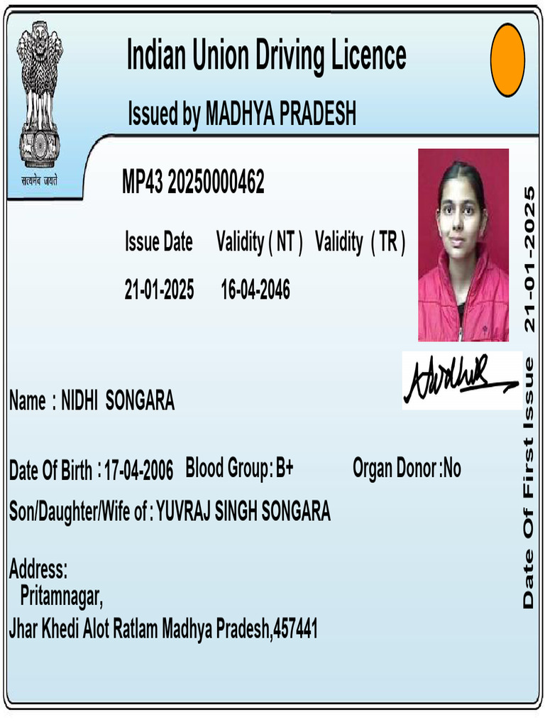 Driving Licence Details | PDF