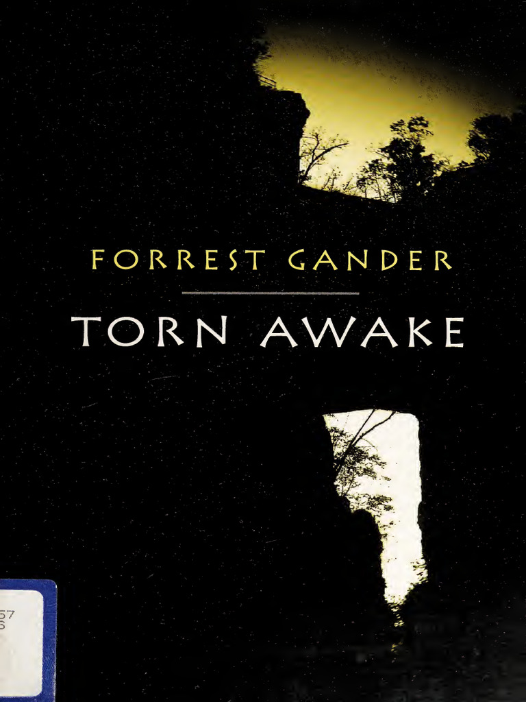 Torn Awake Forrest Gander | PDF