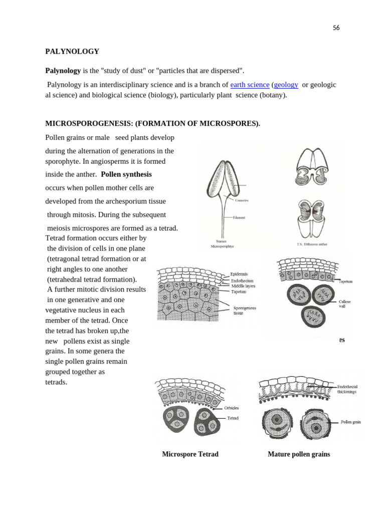 Palynology Pdf Pollen Plants