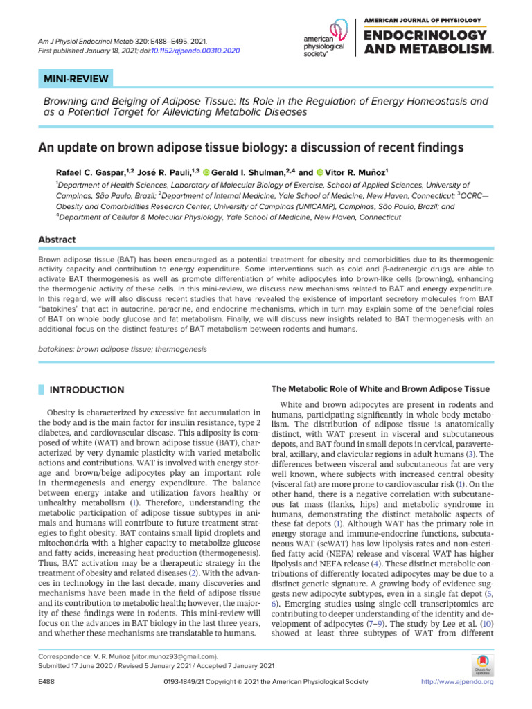 Gaspar Et Al 2021 An Update On Brown Adipose Tissue Biology A Discussion of Recent Findings ...