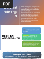 ΑΝΑΤΟΜΙΑ γ επαλ | PDF