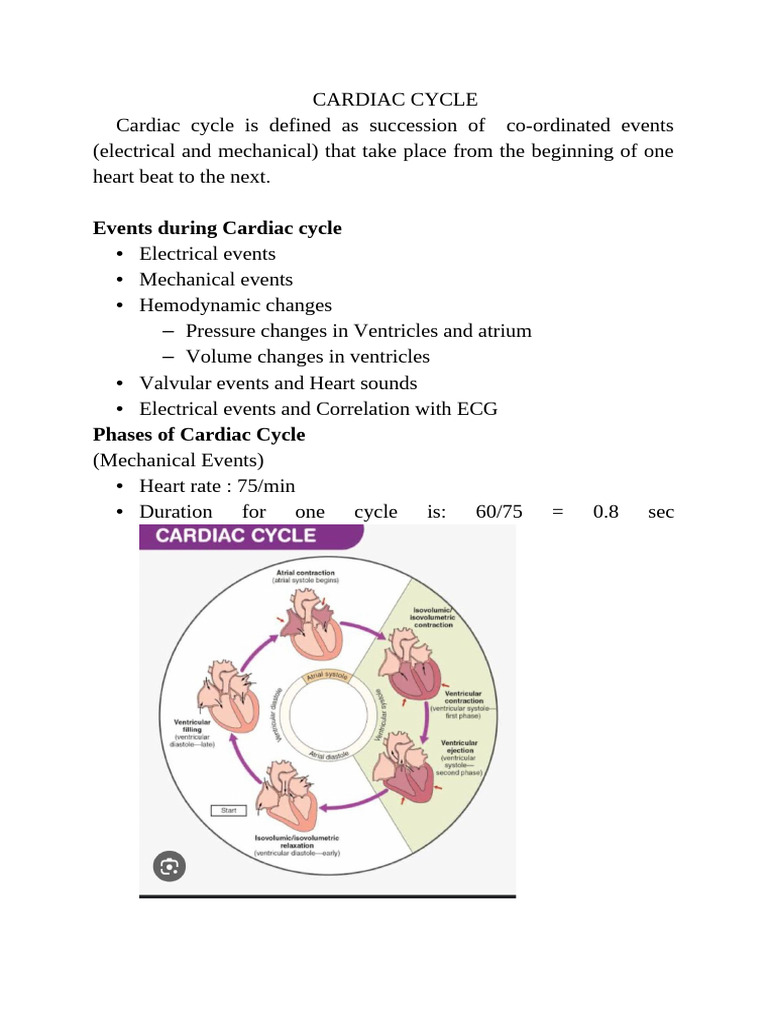 Cardiac cycle | PDF | Diastole | Atrium (Heart)