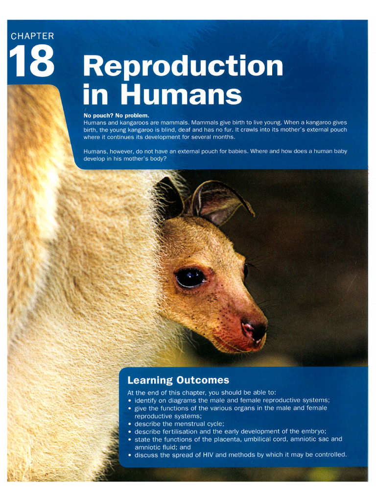 L6. Reproduction | PDF