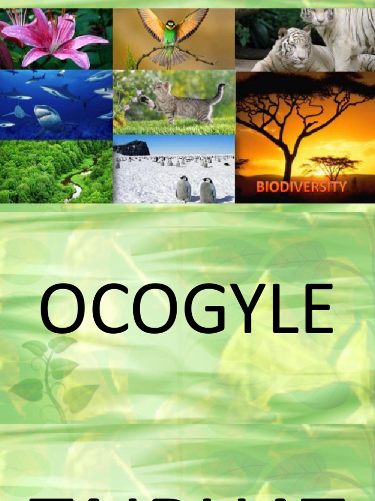 Understanding Biodiversity and Population Dynamics | PDF | Biodiversity ...