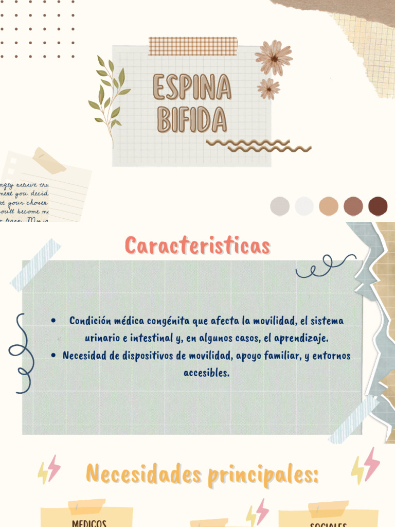 Espina Bifida | PDF