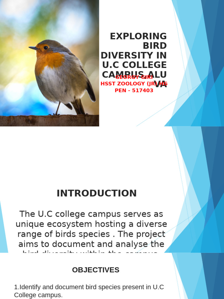 Exploring Bird Diversity in U | PDF