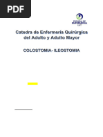 C 37 Cecostomia Colostomia | PDF | Intestino grueso | Abdomen