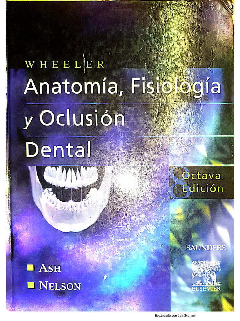 Introducción A La Anatomía Dental. Libro Anatomía, Fisiología y Oclusión Dental de Wheeler. Ash ...