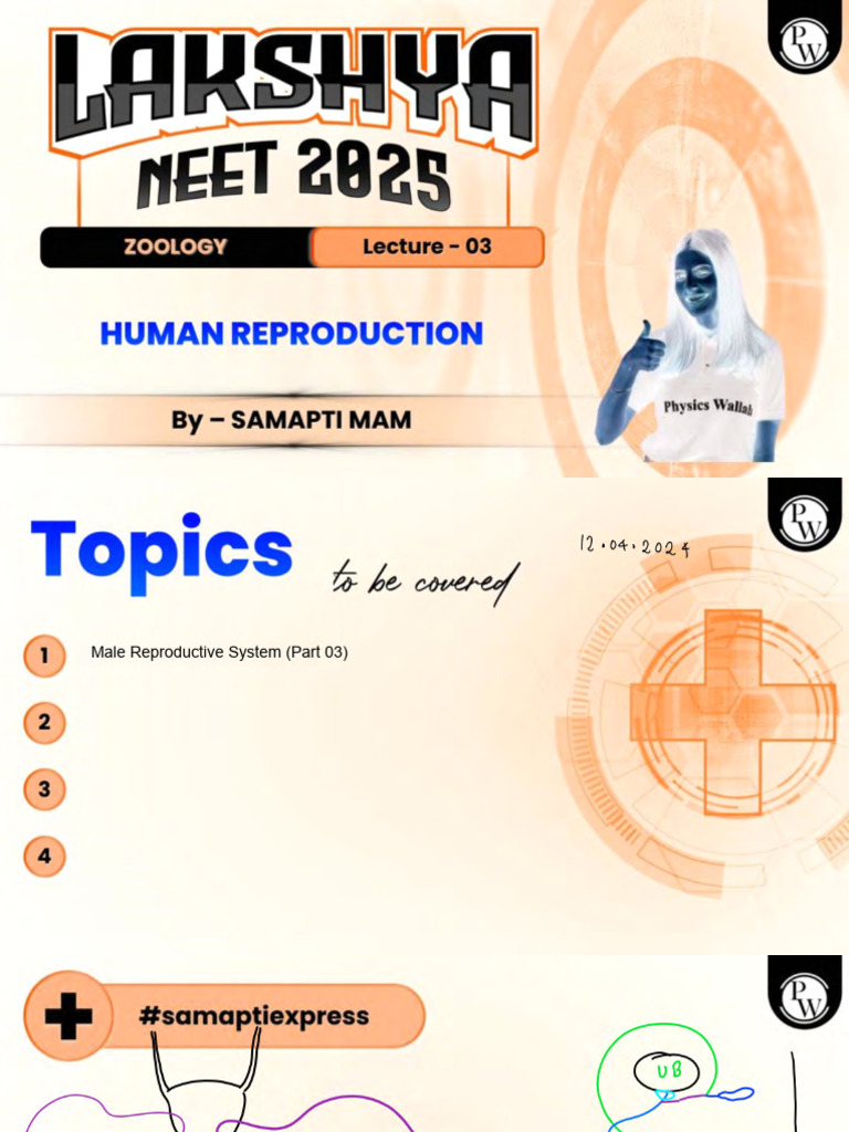 Human Reproduction 03 - Class Notes - Lakshya NEET 2025-Invert | PDF