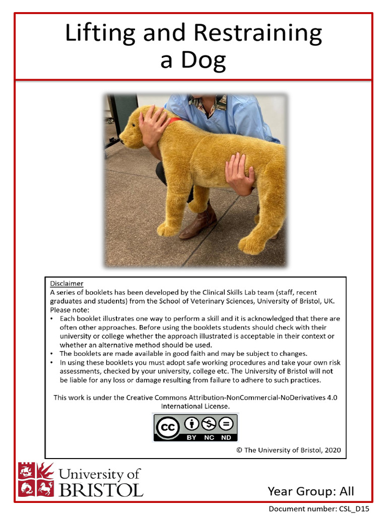 Dog Lifting and Restraint Guide | PDF