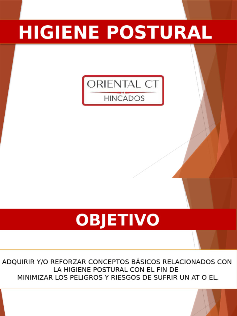 Ergonomia e Higiene Postural | PDF | La columna vertebral | Dolor lumbar