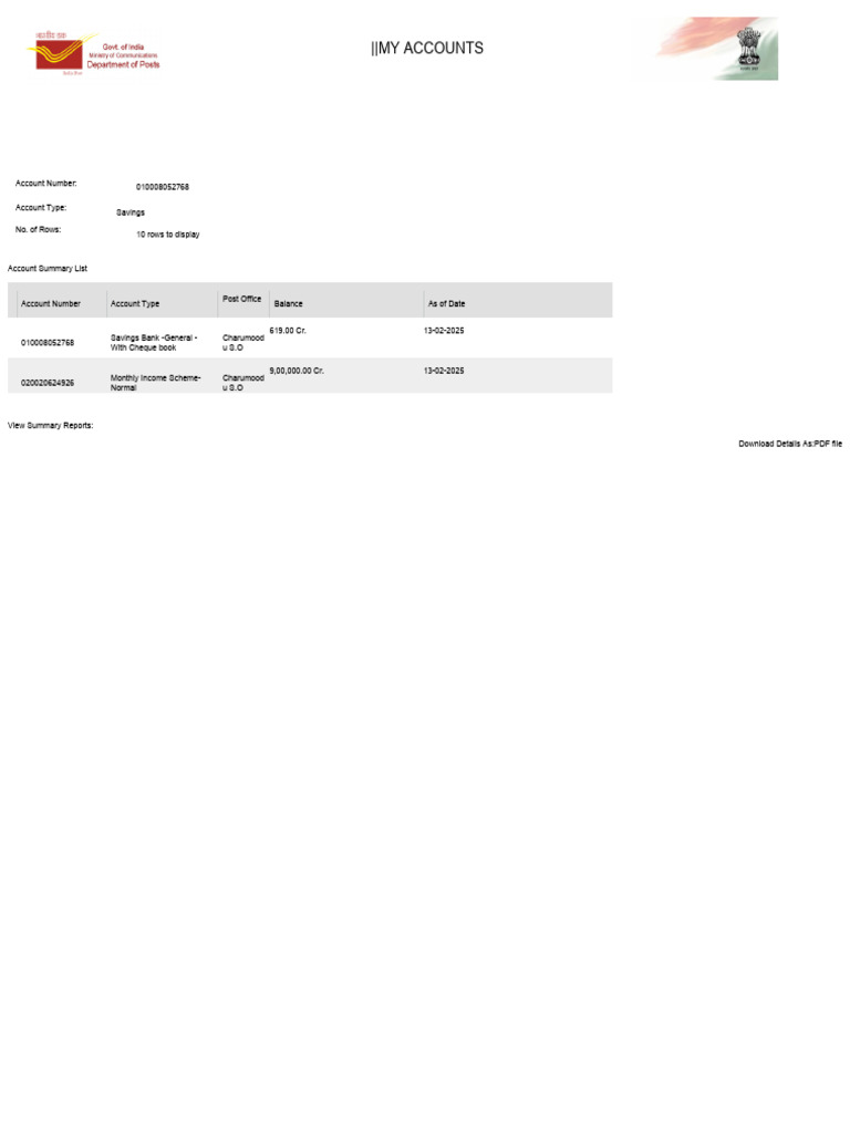 Savings Account Summary Report | PDF