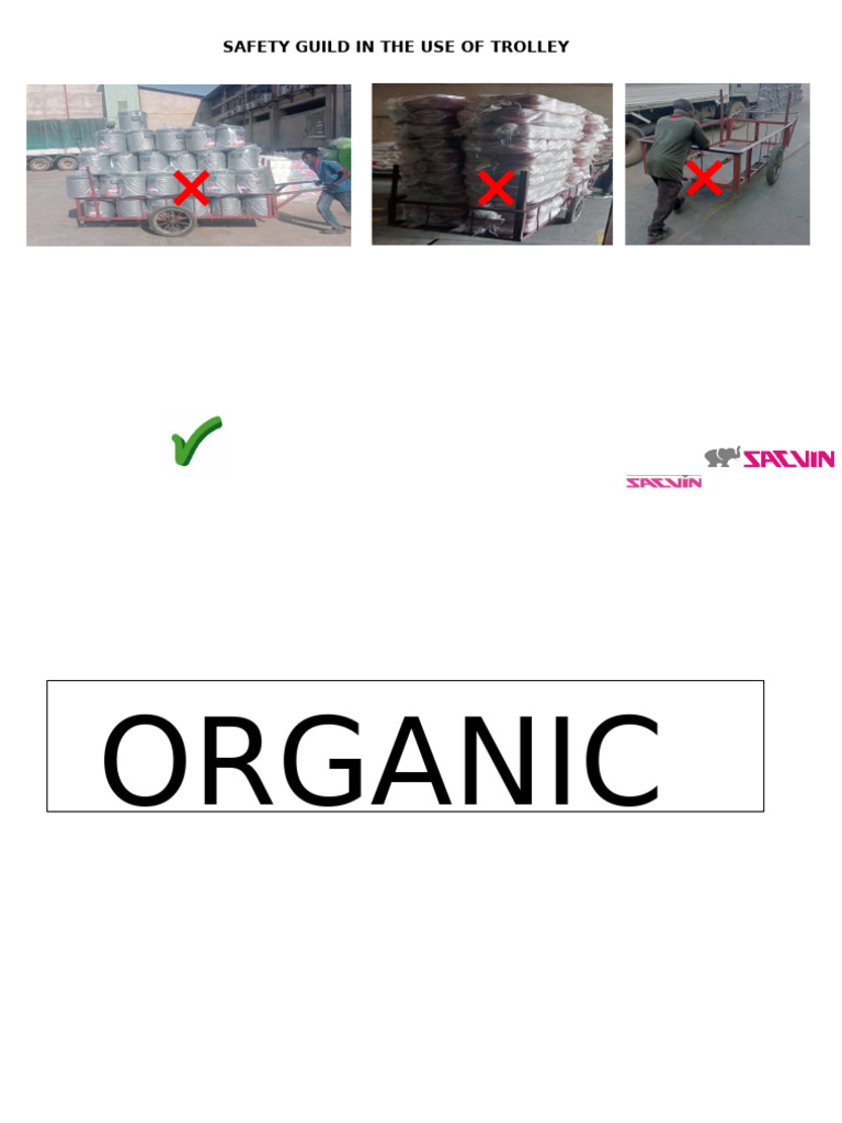 Guildline For Store | PDF