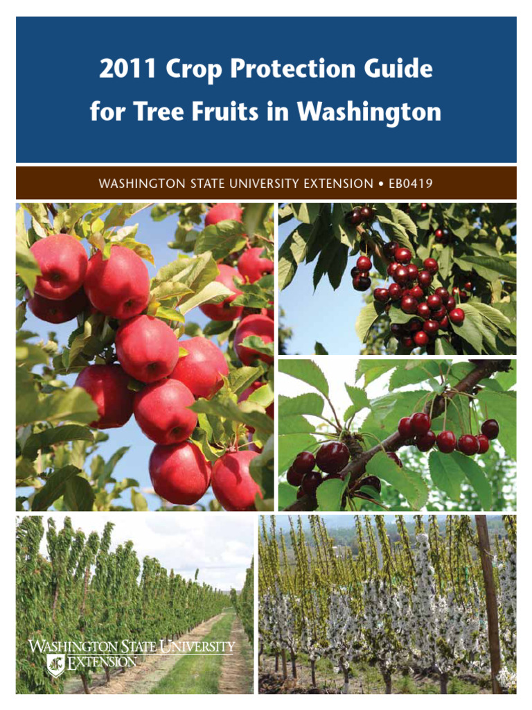 Crop Protection Guide For Furit Trees WA | PDF | Pesticide | Peach