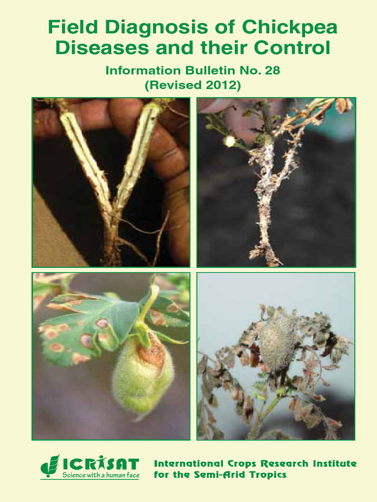 Field Guide To Chickpea Diseases | PDF | Organisms | Branches Of Botany