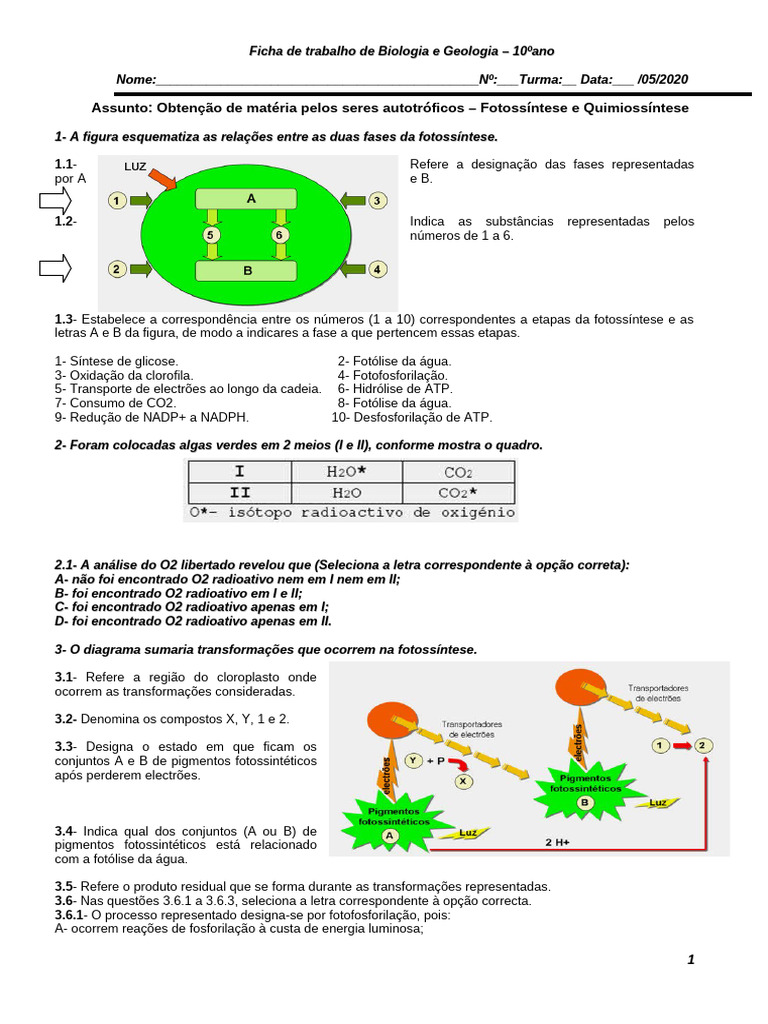 Fotossíntese e Quimiossíntese no 10º Ano | PDF | Trifosfato de ...