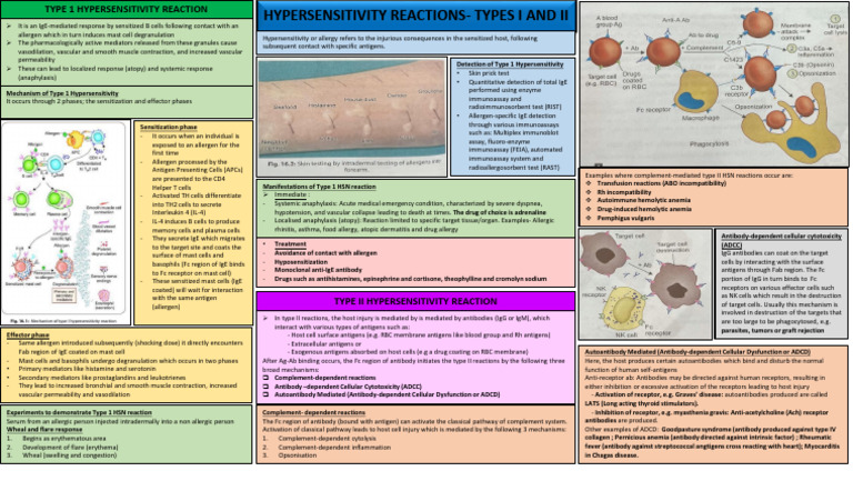 Type 1 and Type 2 Hypersensitivity Explained | PDF | Allergy | Immunology