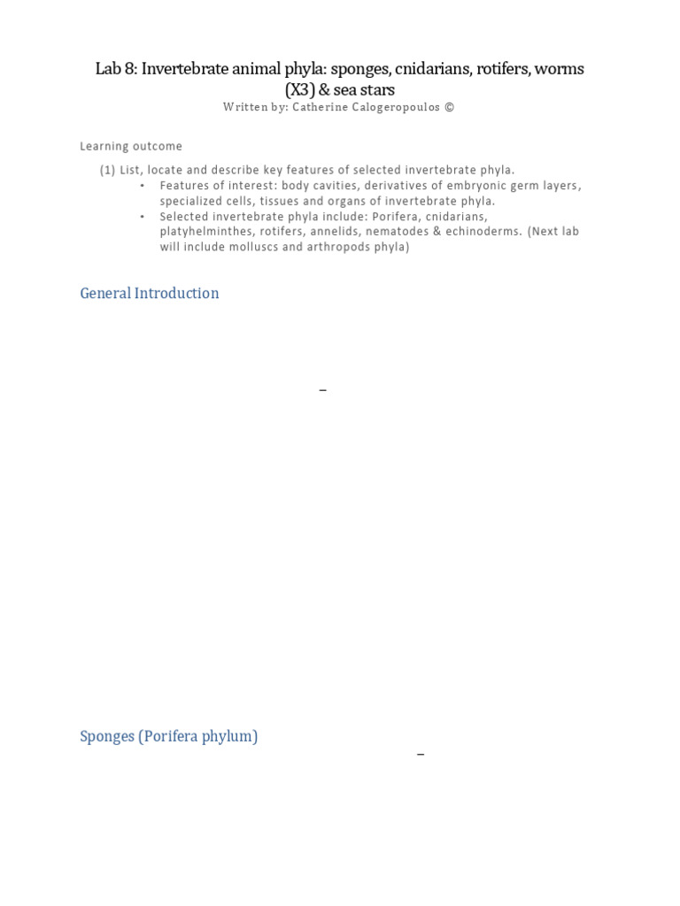 Invertebrate Phyla Lab Overview | PDF | Invertebrate | Biology