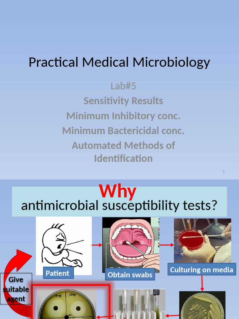 Medical Microbiology For Dental Students Lab5 (Sns - MIC - MBC) 2021 | PDF | Microbiology ...