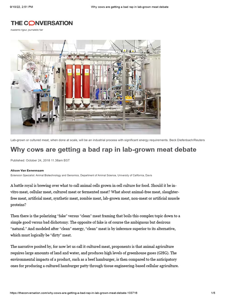 Why Cows Are Getting A Bad Rap in Lab-Grown Meat Debate | PDF | Meat ...