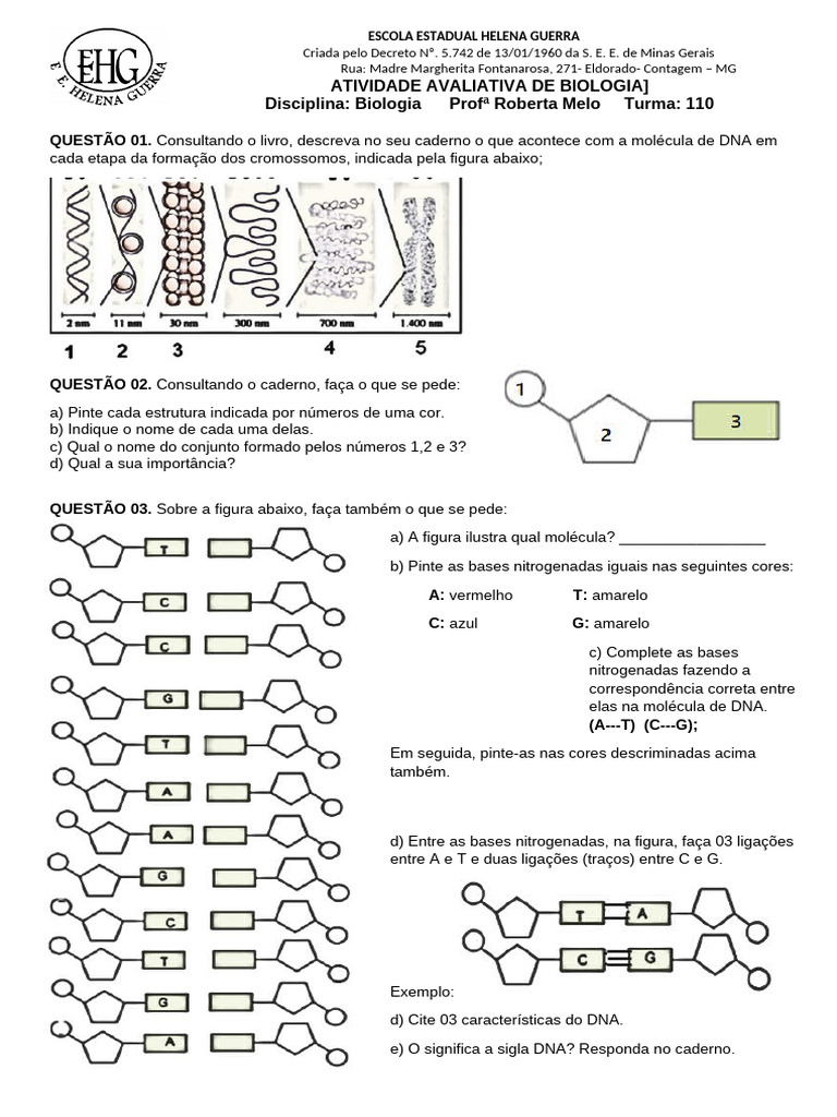 Hg 1 Ano Ativ. Aval Dna e Cromossomos | PDF