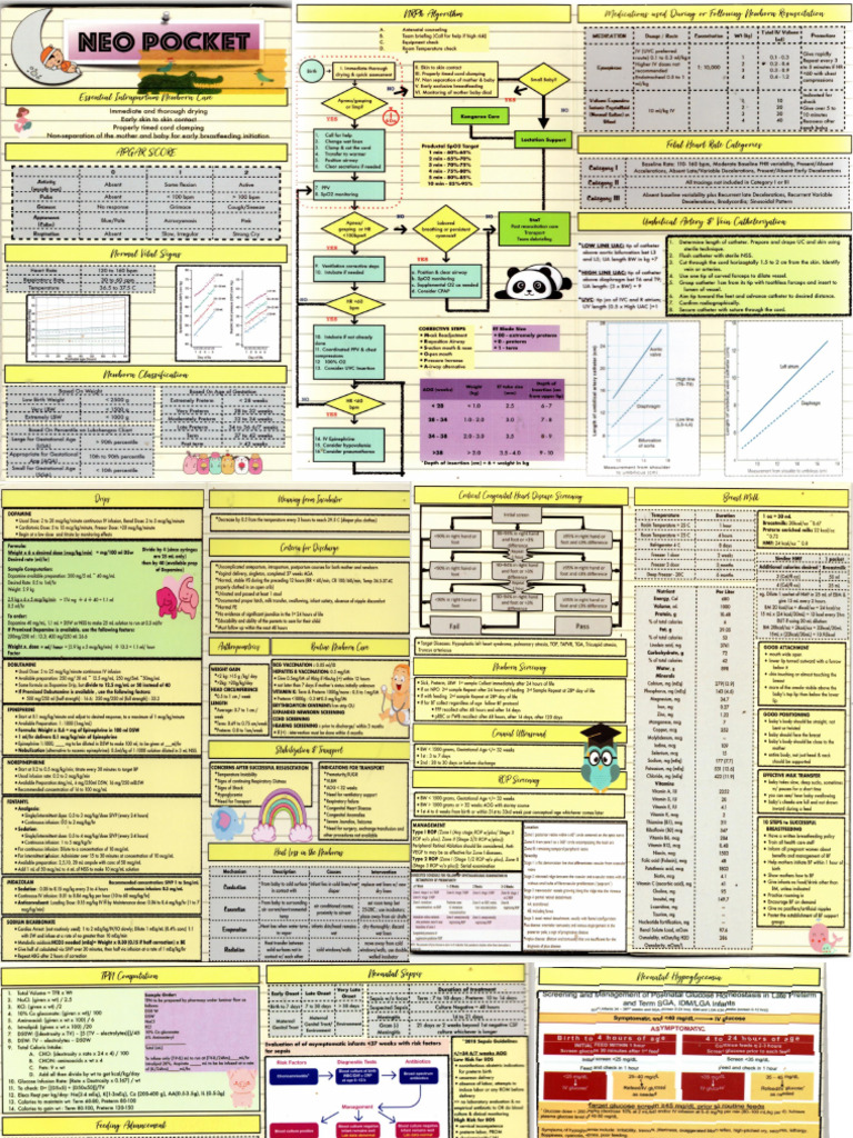 Neo Pocket Scanned | PDF