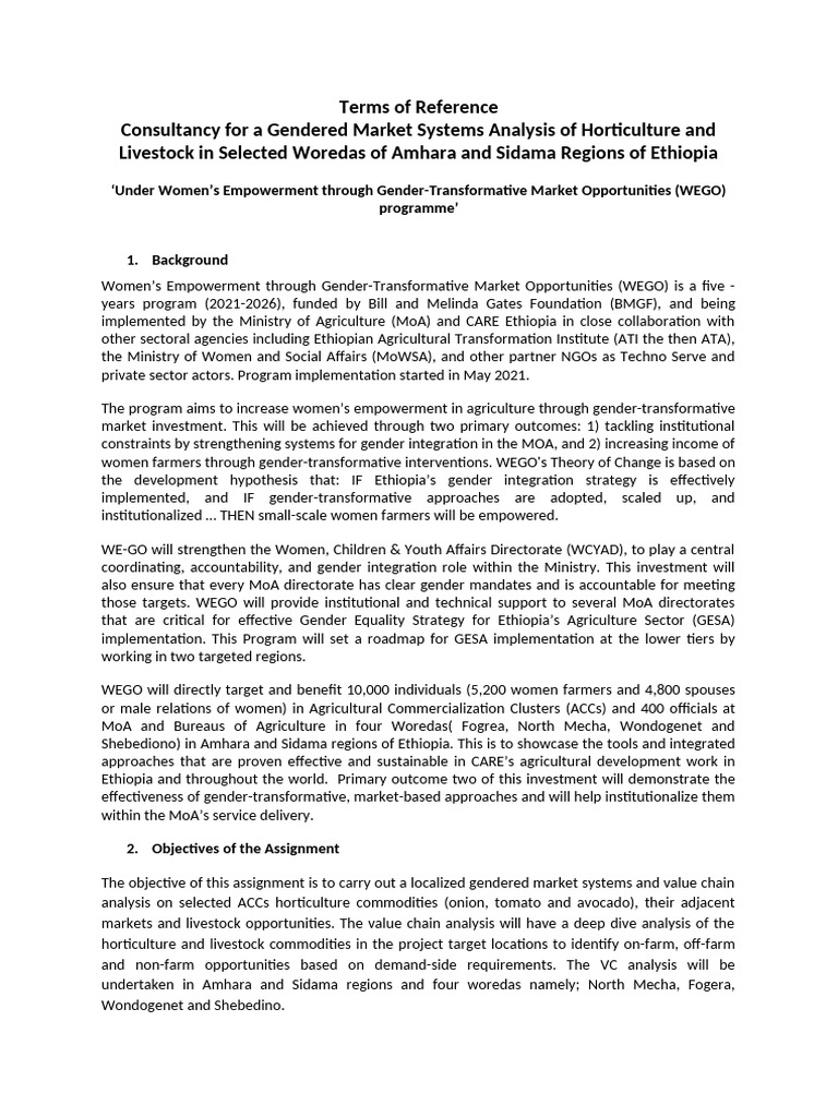 Final ToR_Market System Anayais_WEGO- July 6.2022_Final Draft (1) | PDF ...