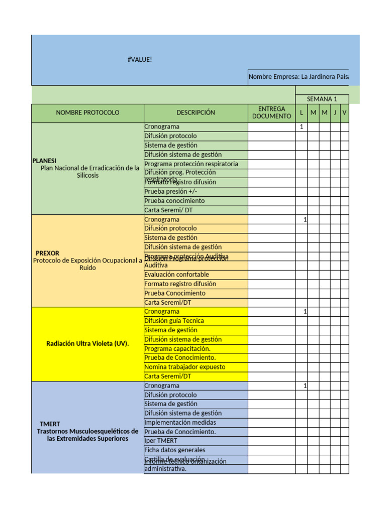Cronogramas Protocolos Minsal LJP | PDF