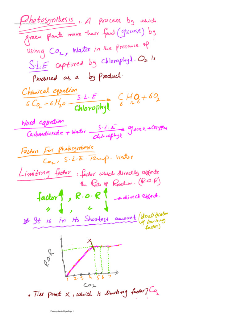 CH 6 Photosynthesis | PDF