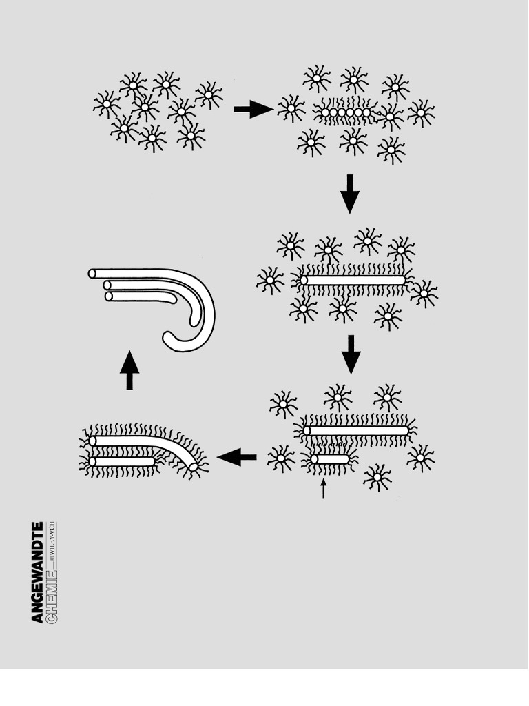 Angew Chem Int Ed - 2000 - Mann - The Chemistry of Form | PDF | Crystal ...