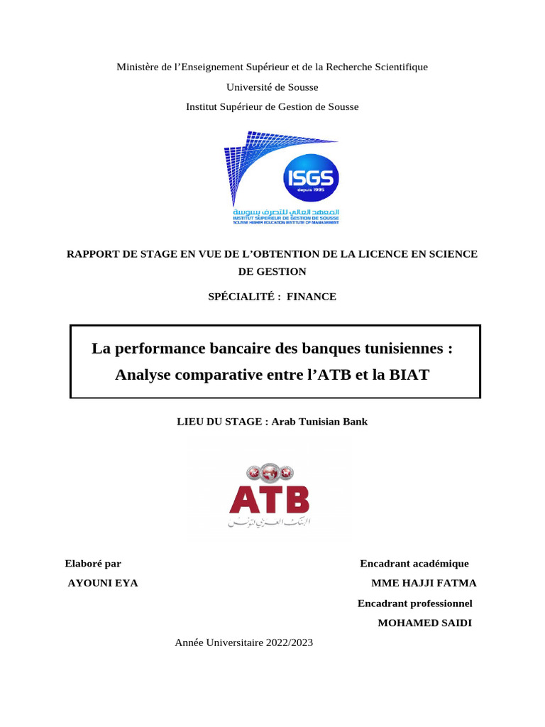 Pfe Aya Layouni | PDF | Banques | Inflation