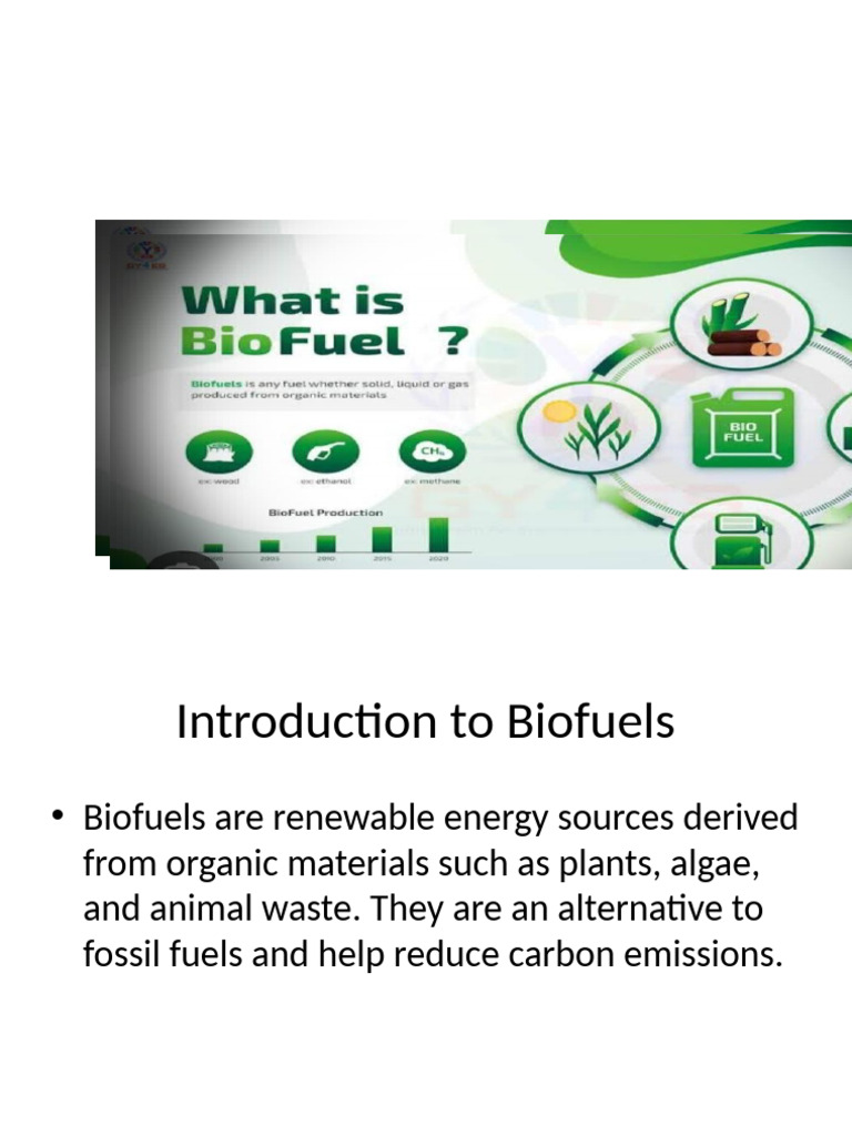 Biofuels: Renewable Energy Overview | PDF