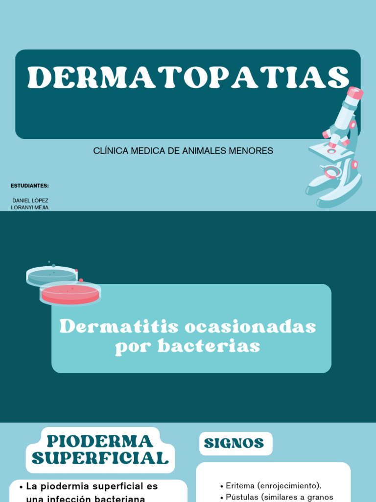 DOC-20250210-WA0018. | PDF | Alergia | Inflamación