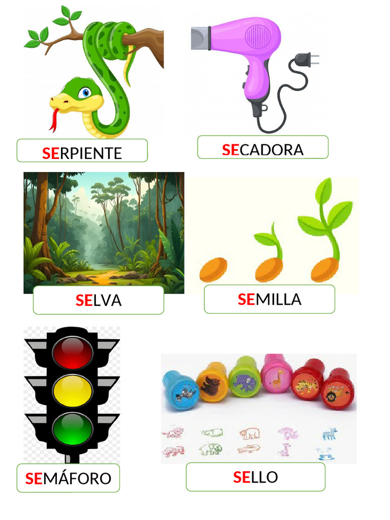 Imagenes Que Inicial Con La Silaba Se | PDF