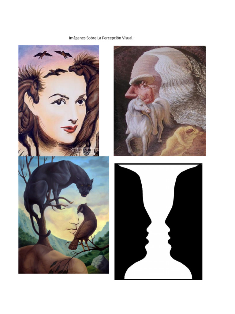 imagen de percepcion visual | PDF