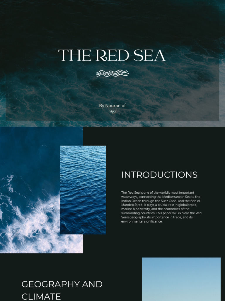 Importance of the Red Sea in Trade | PDF | Red Sea | Sea