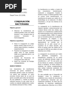 Mecanismos de Transferencia Genética Horizontal | PDF | Las bacterias ...