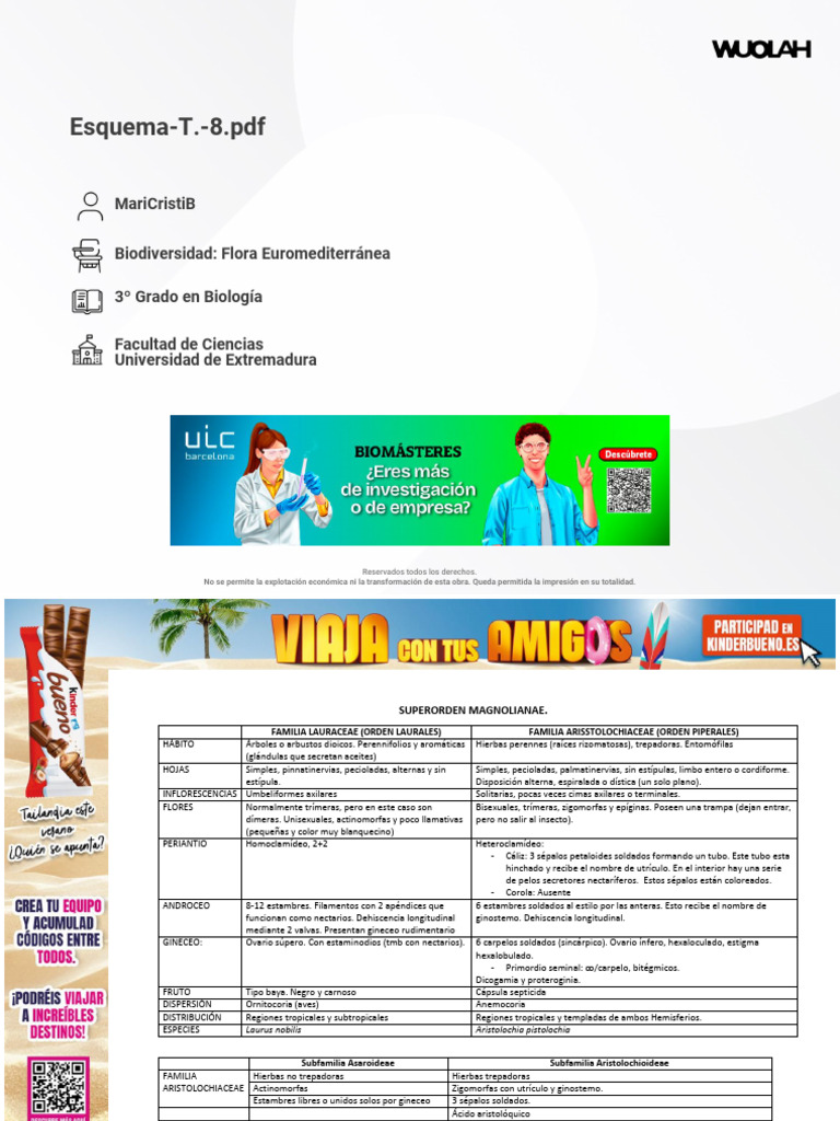 Wuolah Free Esquema T. 8 | PDF | Plantas | Morfología Vegetal