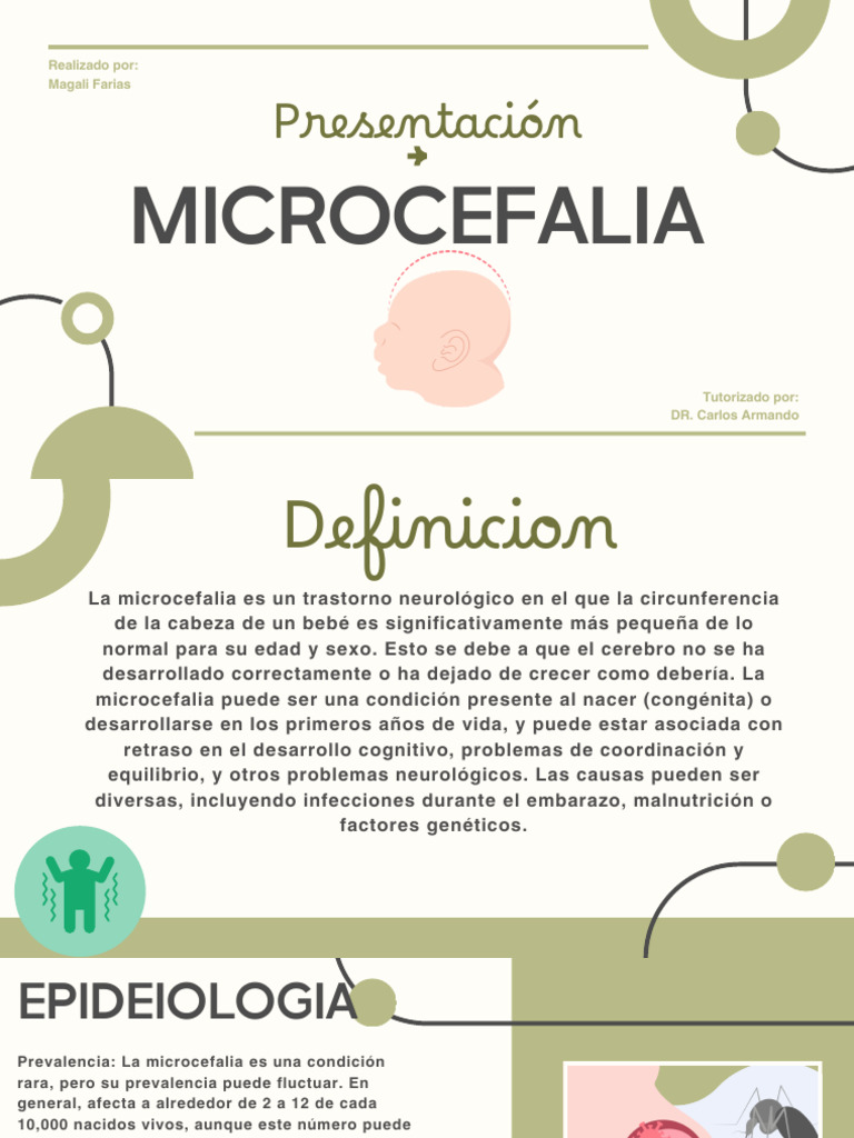 Microcefalia | PDF | Fiebre del zika | Virus