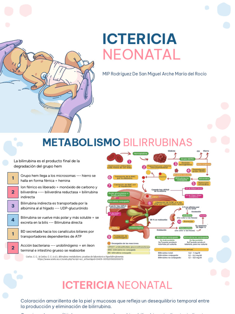 Ictericia Neonatal: Causas y Tratamiento | PDF | Hematología ...