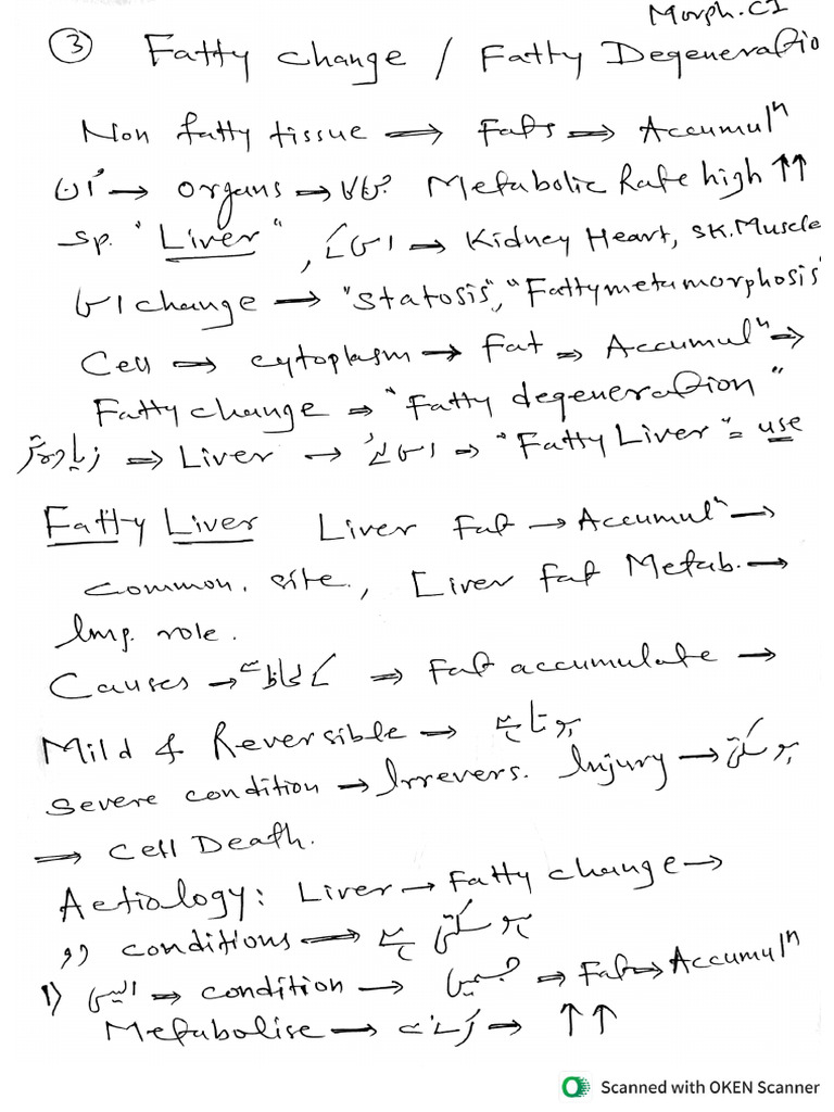Fatty change فساد شحمی | PDF