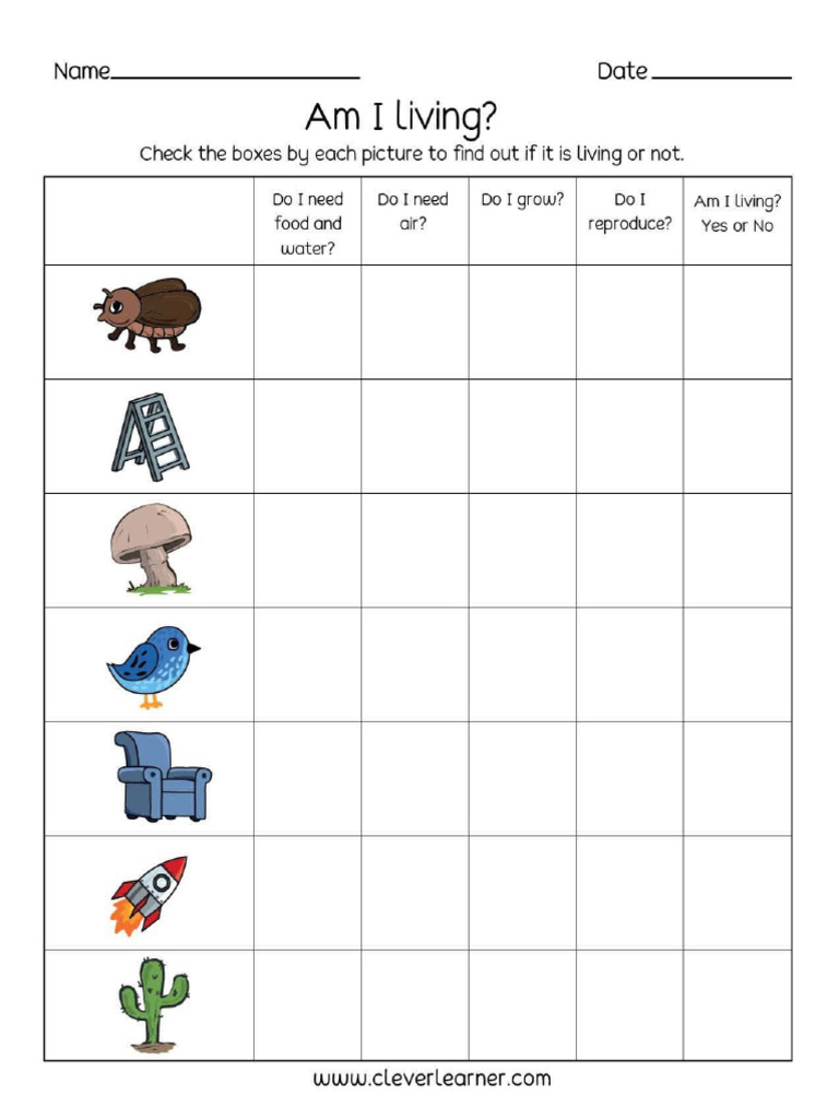 preschool-living-things-activity | PDF