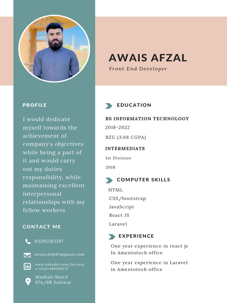 Awais Afzal: Front End Developer | PDF