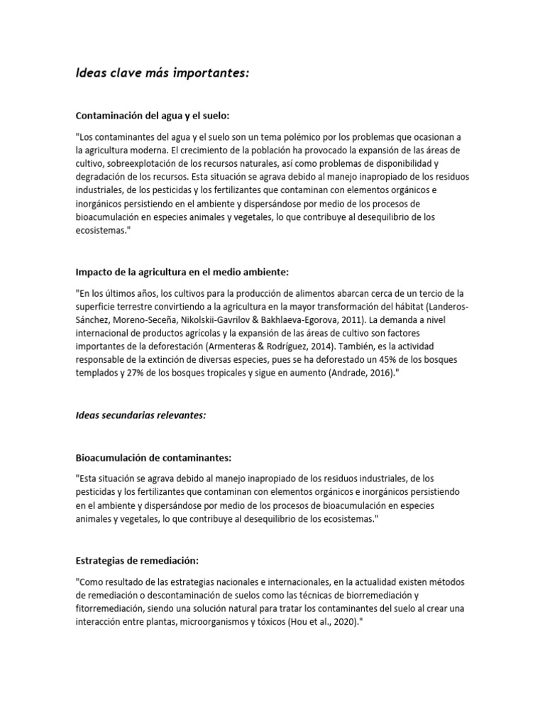 Ideas Clave Más Importantes | PDF